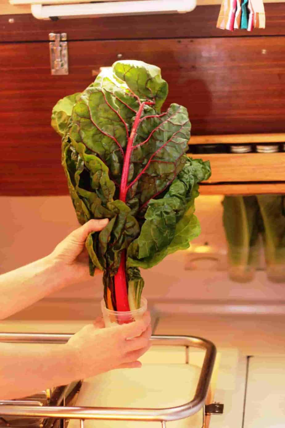 5 Simple Boat Galley Storage Solutions - WaterborneMag.com