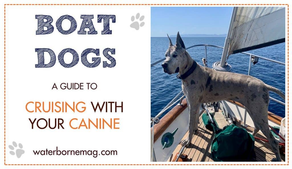 Boat dogs! A guide to cruising with your canine - Waterborne ...